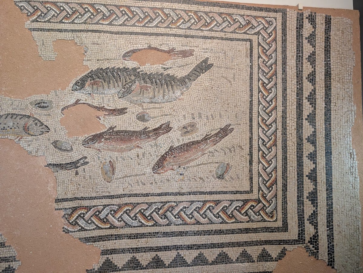 Alba-la-Romaine Archaeological Site and Museum: A Roman Municipium in ...