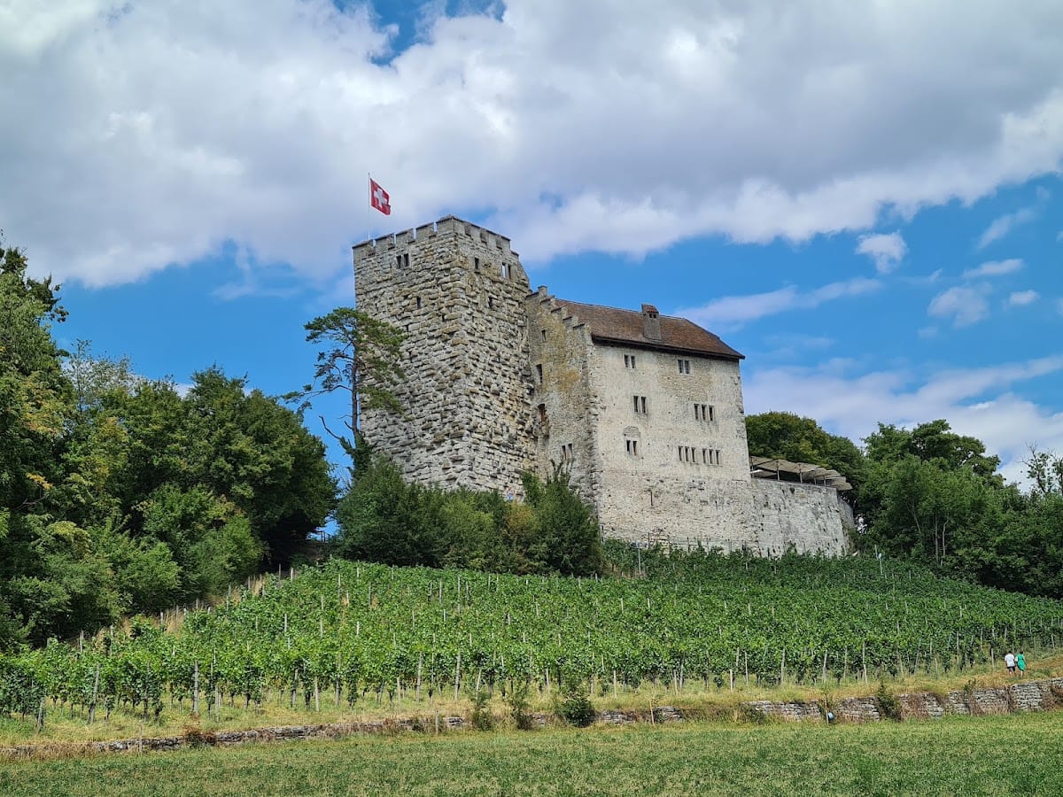 Habsburg Castle: The Ancestral Seat of the Habsburg Family in ...
