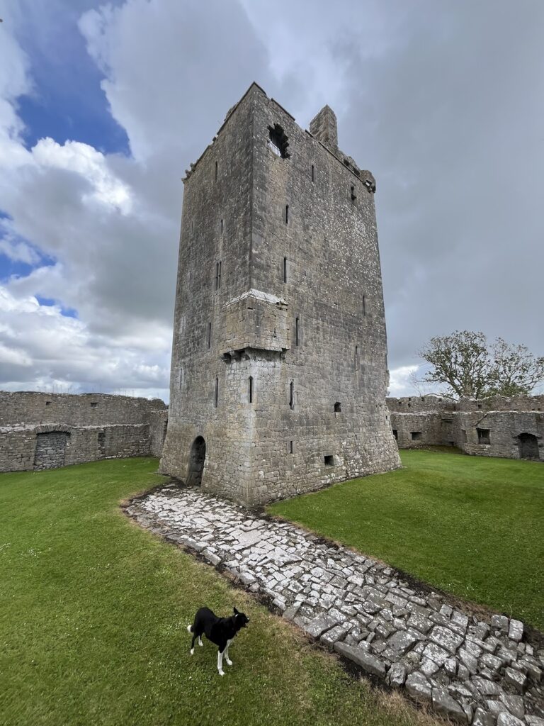 Bunratty Castle: A Historic Irish Tower House in County Clare - Ancient ...